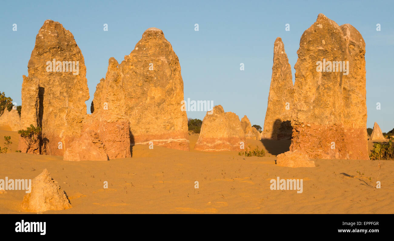 The Pinnacles, Western Australia Stock Photo - Alamy