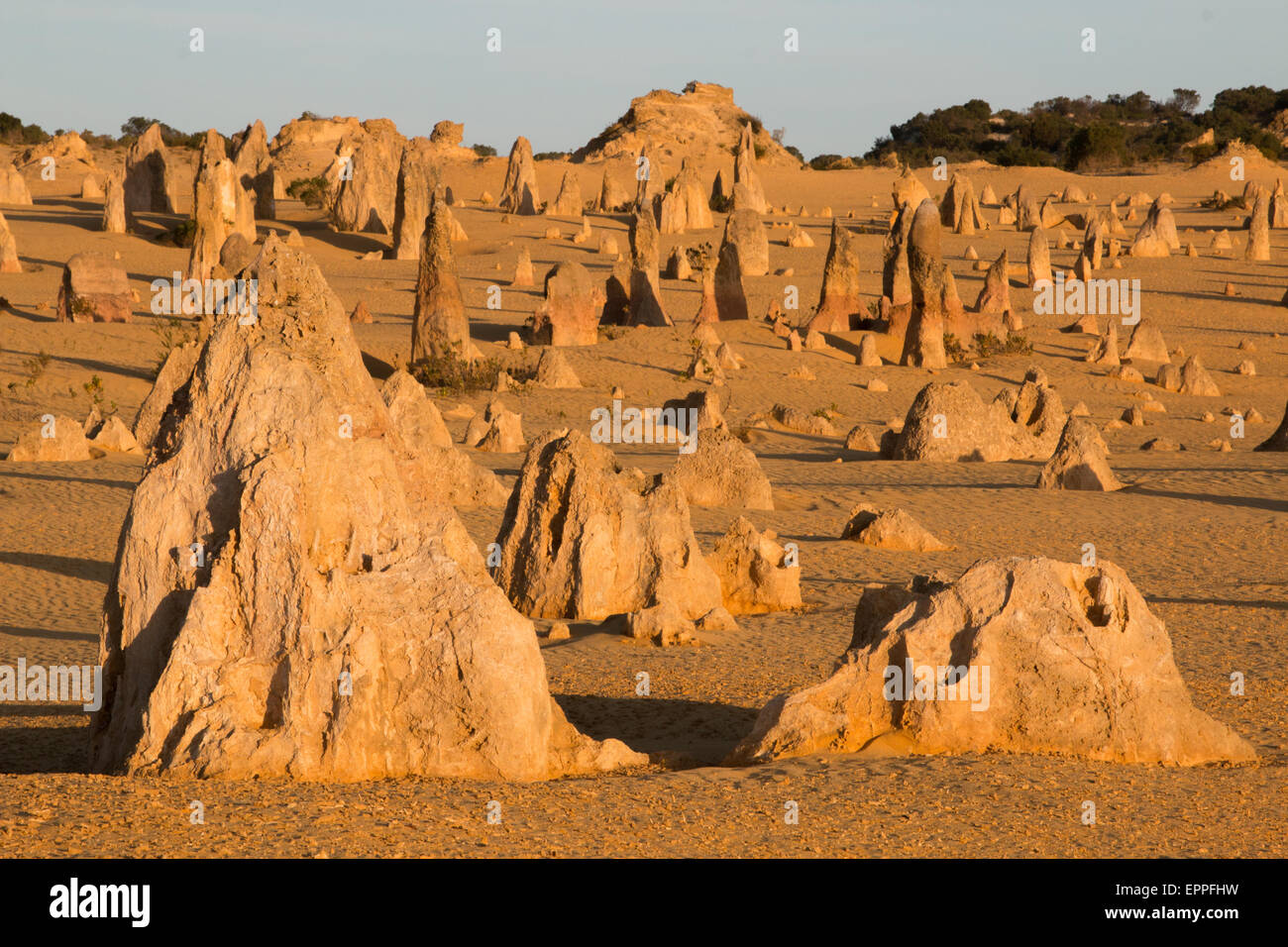 The Pinnacles, Western Australia Stock Photo - Alamy