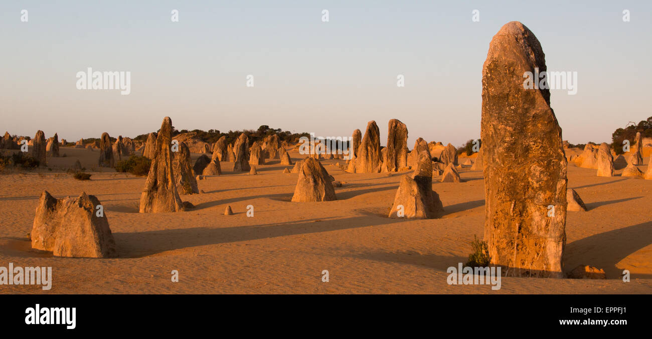 The Pinnacles, Western Australia Stock Photo - Alamy