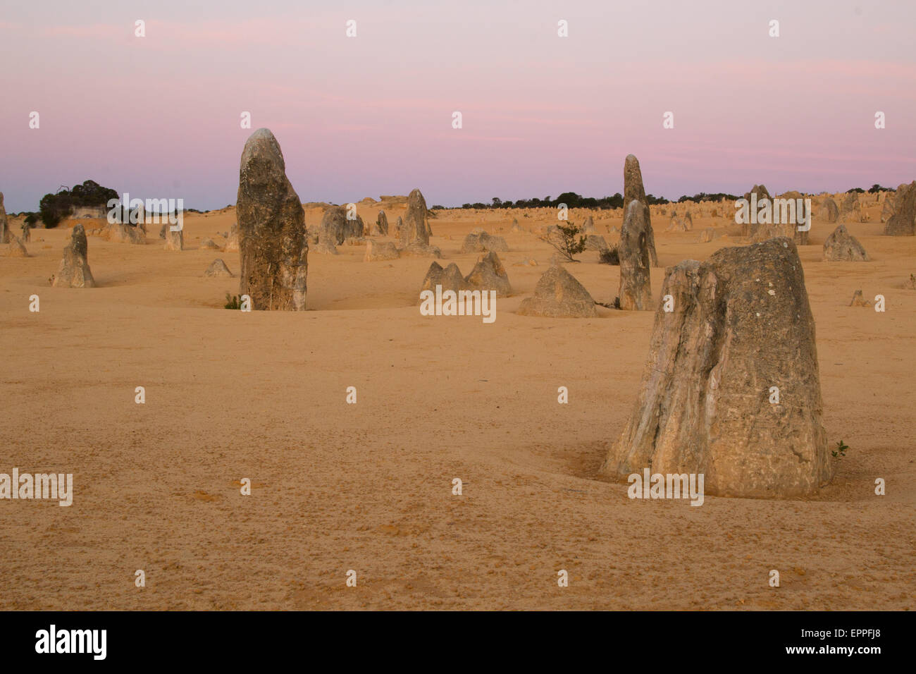 The Pinnacles, Western Australia Stock Photo - Alamy