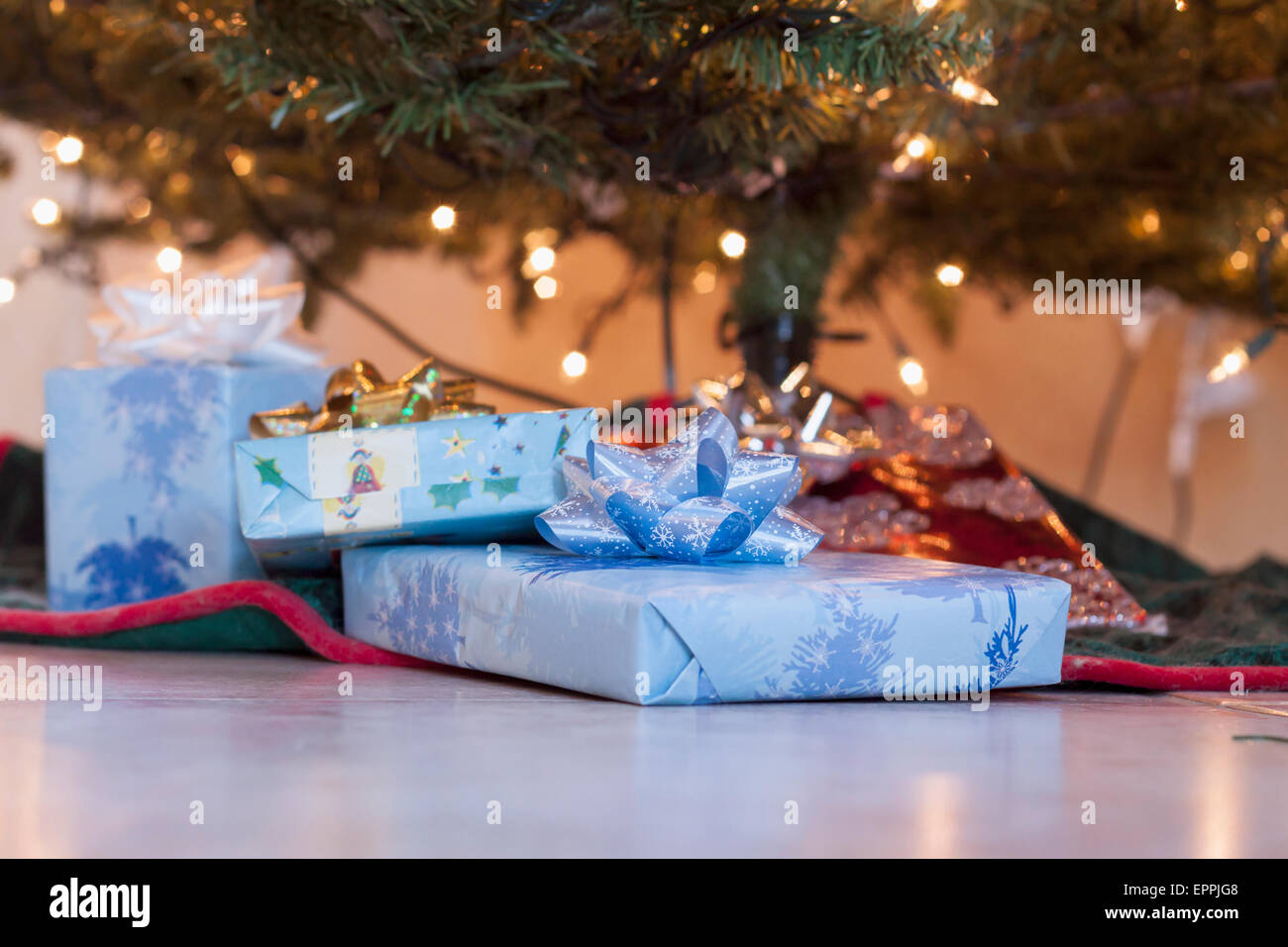 Wrap Christmas presents under a Christmas tree Stock Photo - Alamy