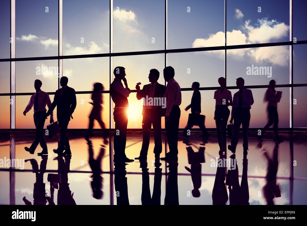 Professional Business People Working in the Office Stock Photo - Alamy