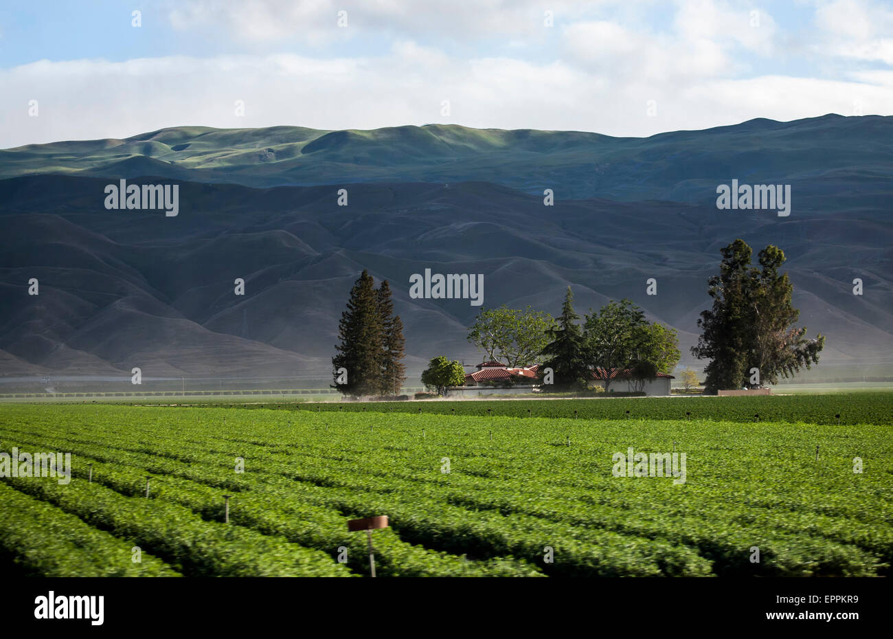 Farmlands near the Central Valley, California Stock Photo - Alamy