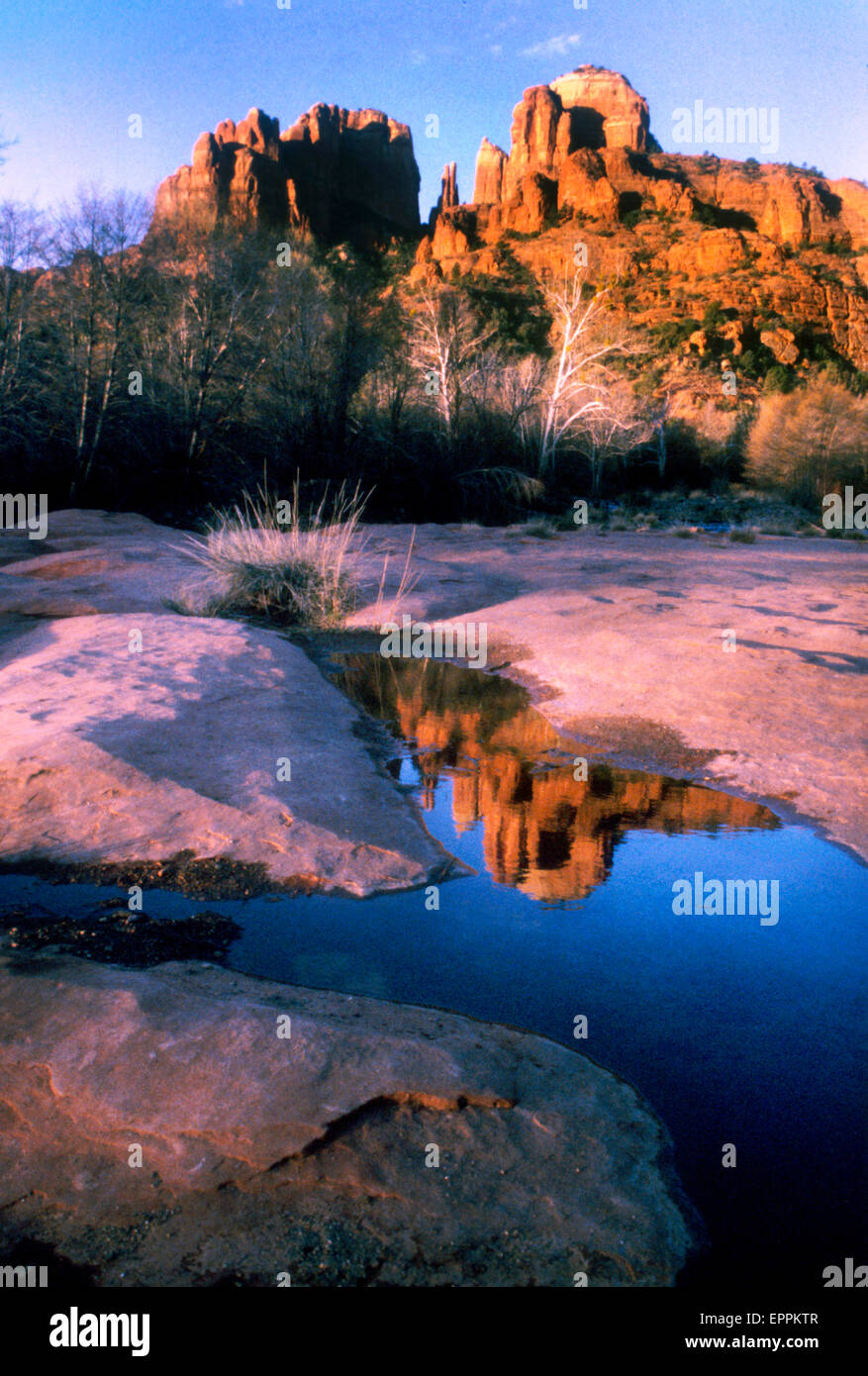 Cathedral rocks reflected in a water pond at Red Rock Park, Sedona ...