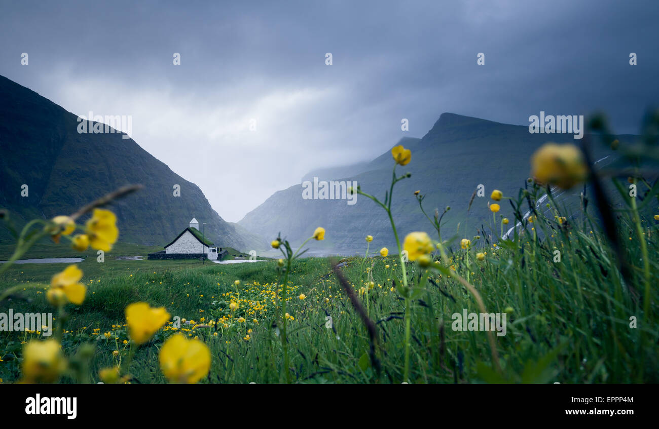 The church in Saksun surrounded by flower. Island of Streymoy. Faroe ...
