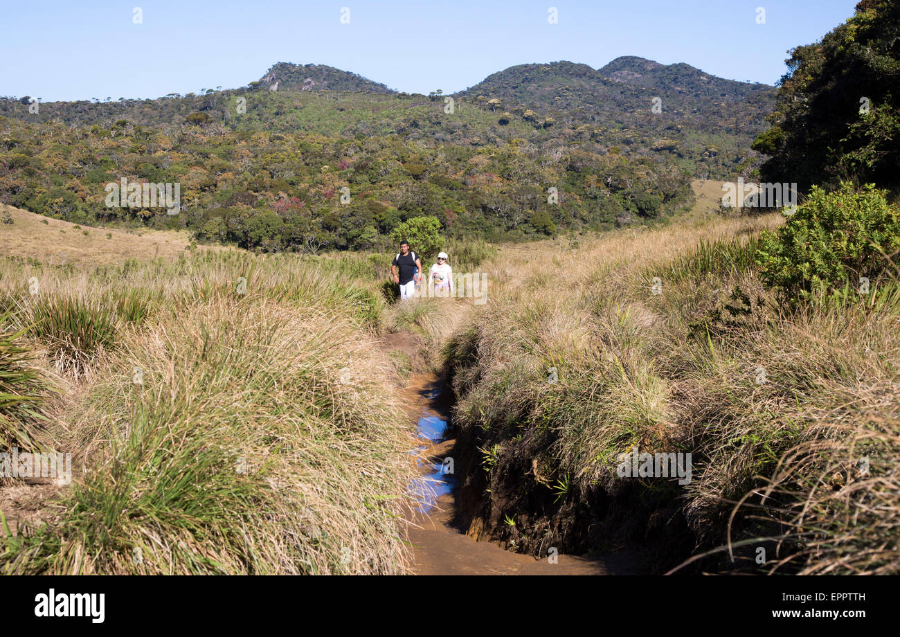 Walkers in Horton Plains national park montane grassland environment ...