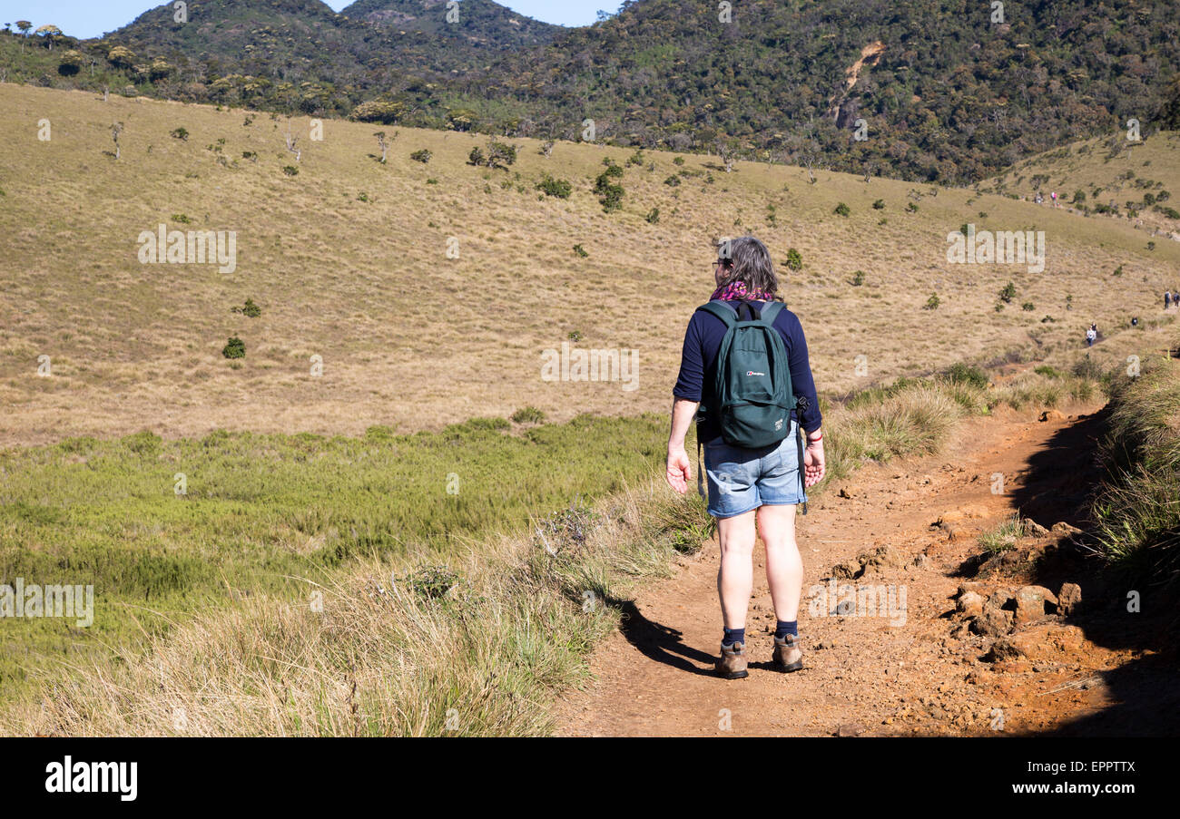 Grassland environment hi-res stock photography and images - Alamy