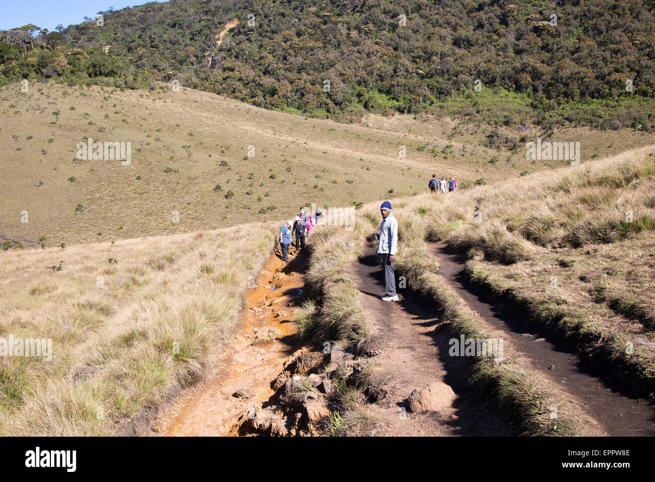 Walkers in Horton Plains national park montane grassland environment ...