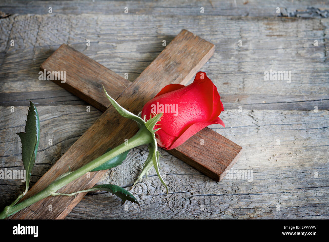 Cross and rose religion sign symbol abstract concept Stock Photo - Alamy