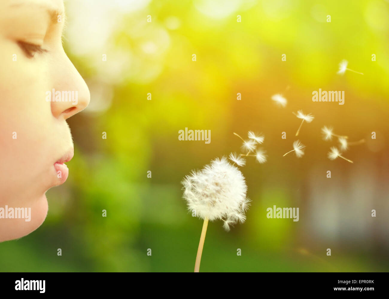 Close up ow woman blowing dandelion flower Stock Photo - Alamy