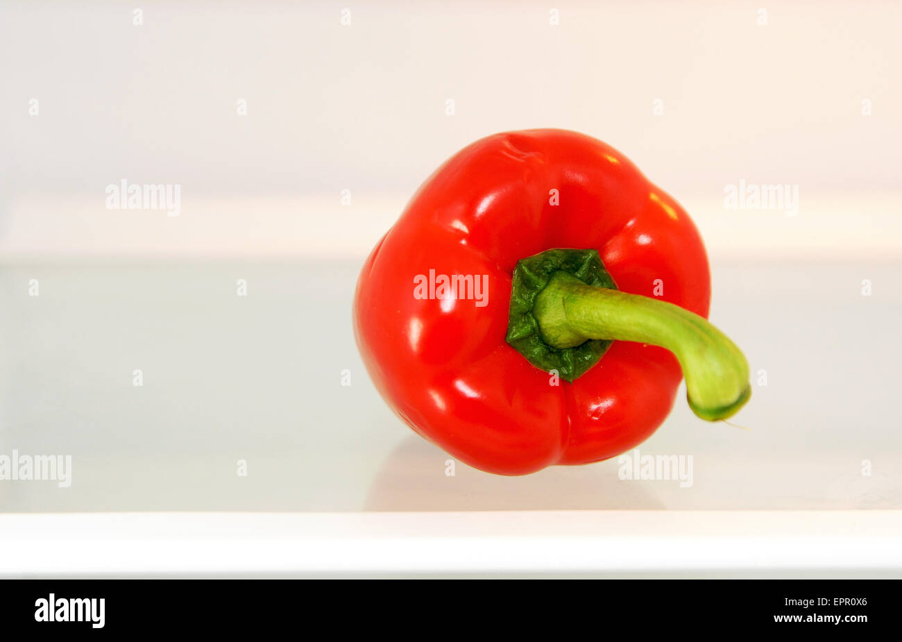 Single red pepper sitting alone in an empty fridge Bell pepper, also ...