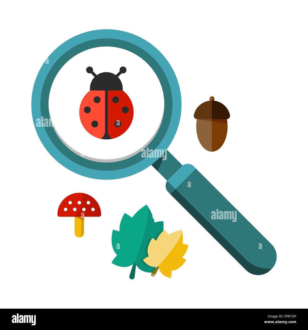 Magnifying glass insect Cut Out Stock Images & Pictures - Alamy