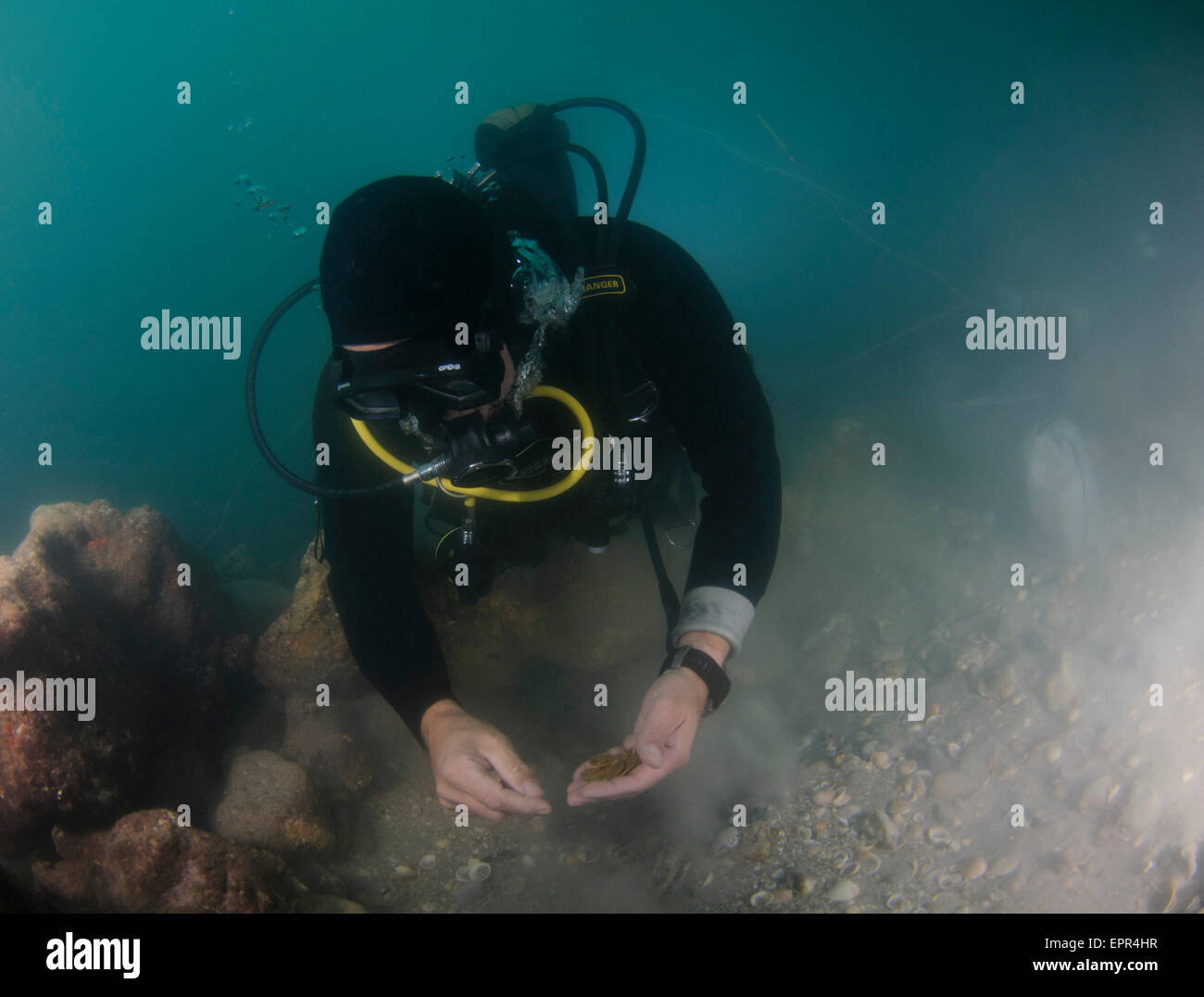 Scuba Divers uncover a hoard of 2000 gold coins from the Fatimid period ...