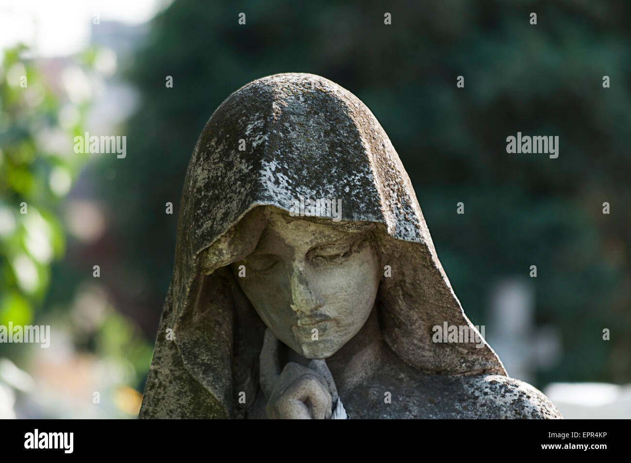 Portrait of an angel statue Stock Photo - Alamy