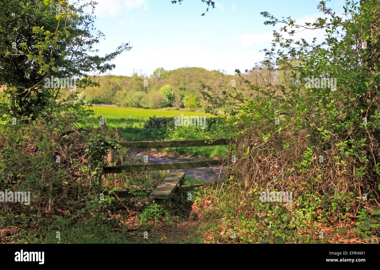 A stile at a fence by a wood in the countryside at Blickling, Norfolk ...