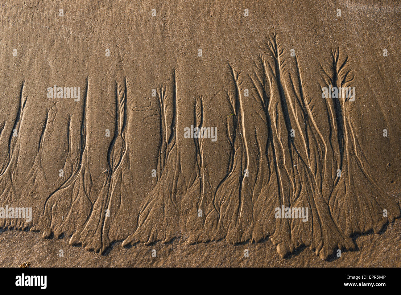 Nature natural sand pattern patterns hi-res stock photography and ...