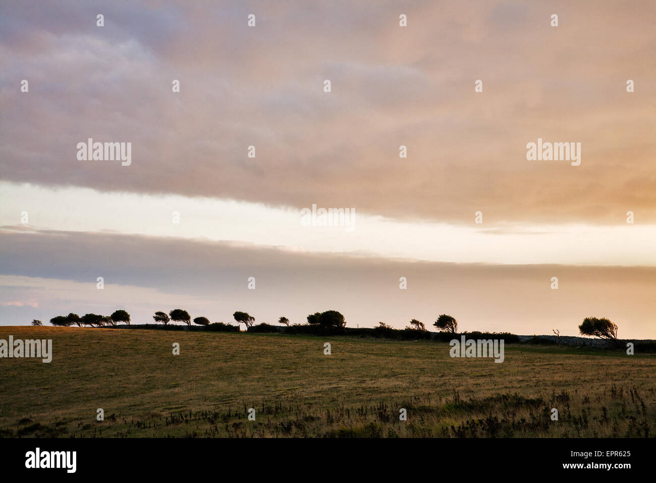 Seacombe cliffs hi-res stock photography and images - Alamy