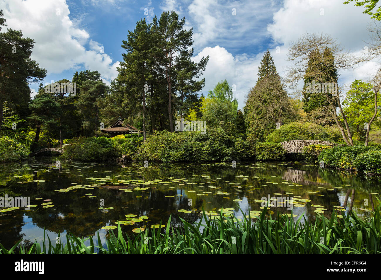 The Japanese Gardens at Tatton Park Stock Photo - Alamy