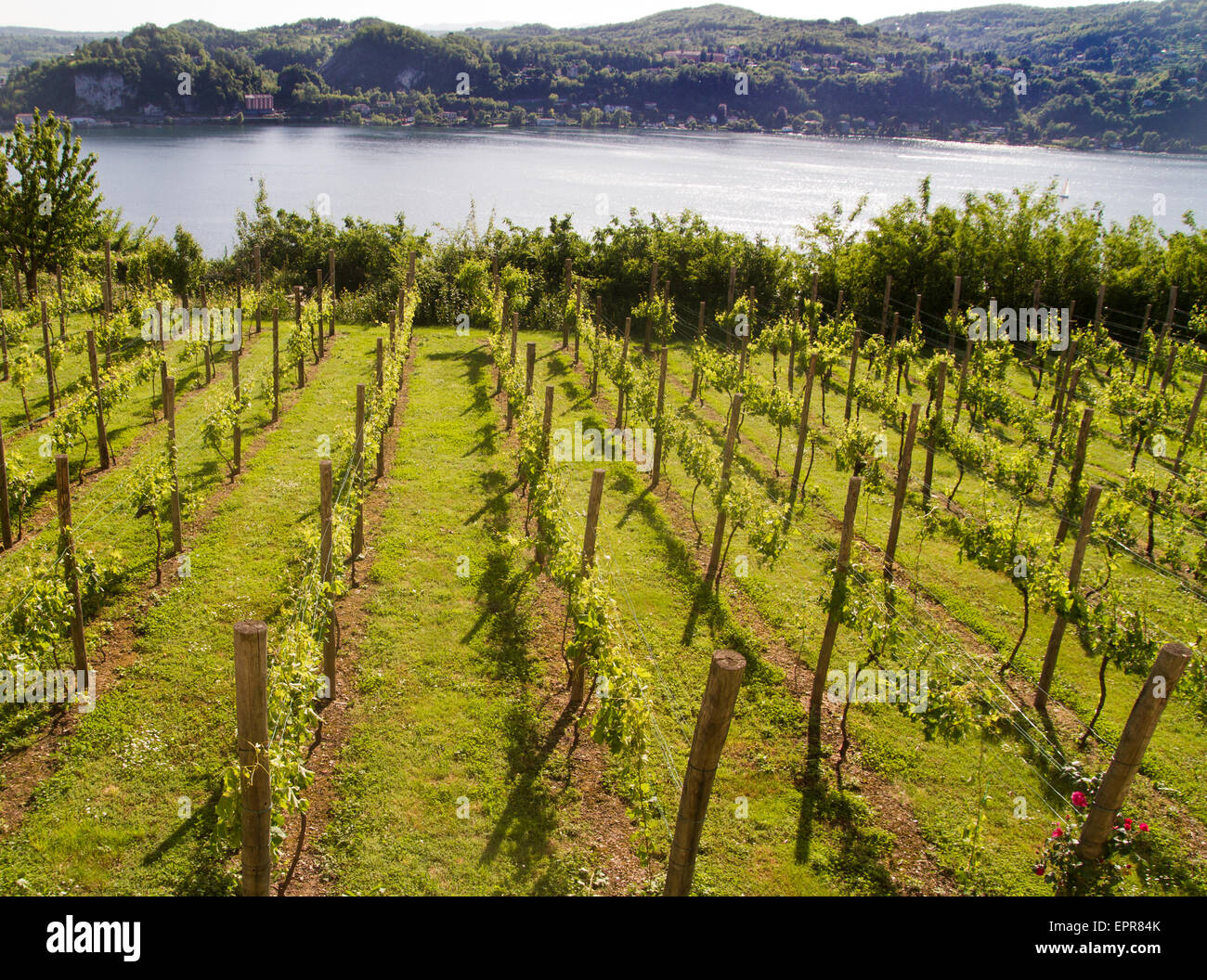 Rocca di angera hi-res stock photography and images - Alamy