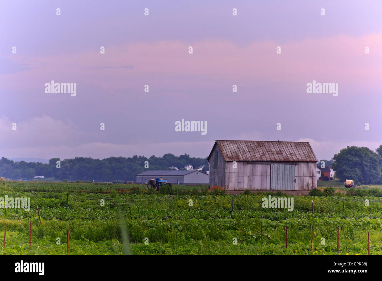 Cloudy humid hot summer day on the farm Stock Photo - Alamy