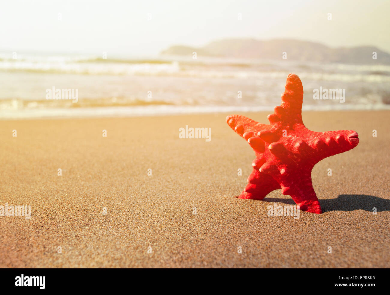 Star shell hi-res stock photography and images - Alamy