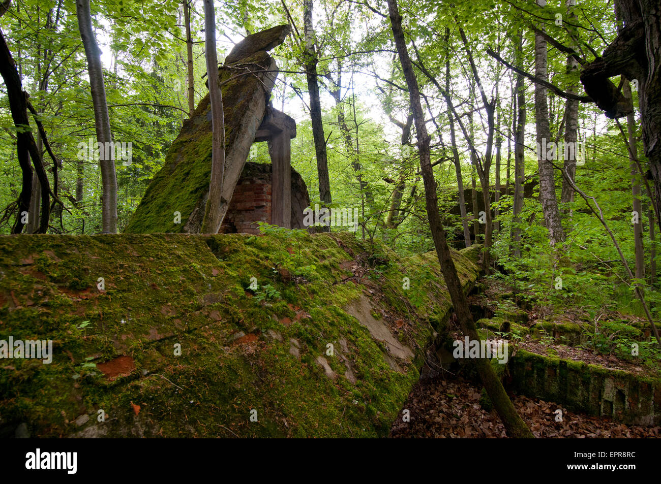 Remains of Hermann Goering's house in Wolfsschanze, Hitler's Wolf's ...