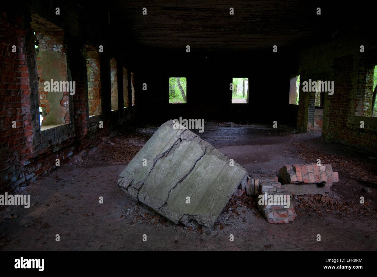 Remnants of Hermann Goering house in Wolfsschanze, Hitler's Wolf's Lair ...