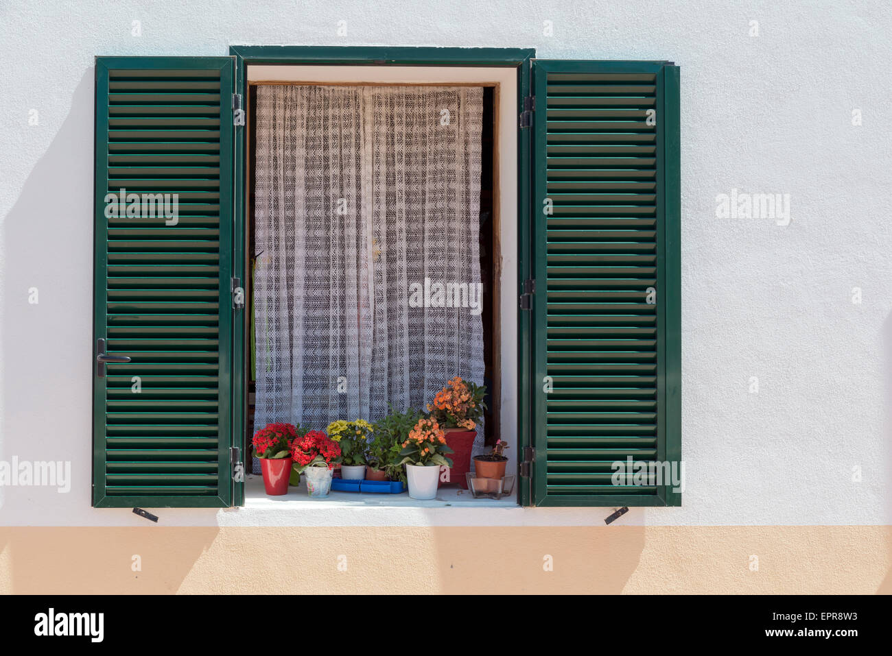 Green flowerpots hi-res stock photography and images - Alamy
