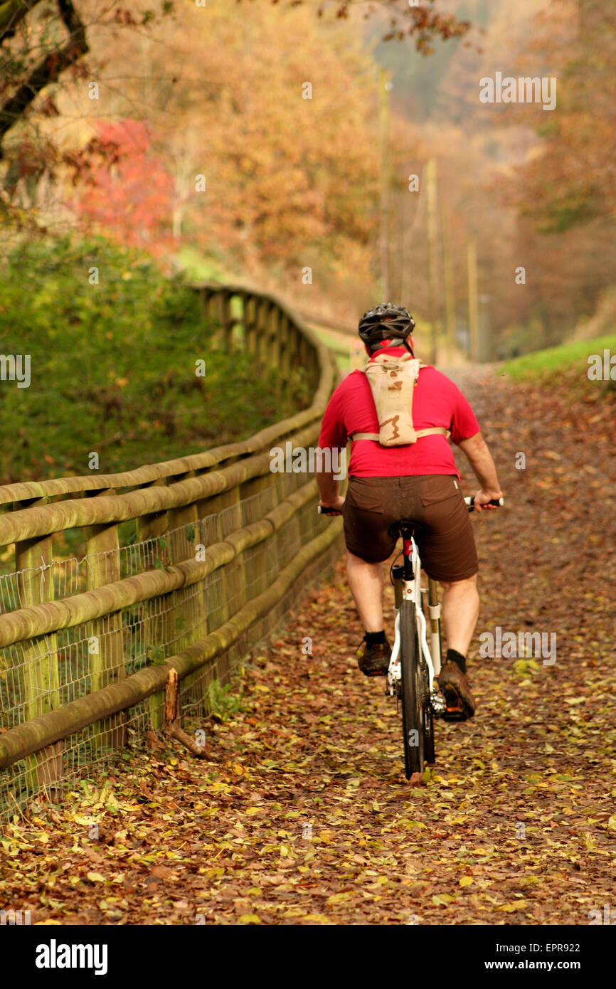 Afan argoed country park hi-res stock photography and images - Alamy