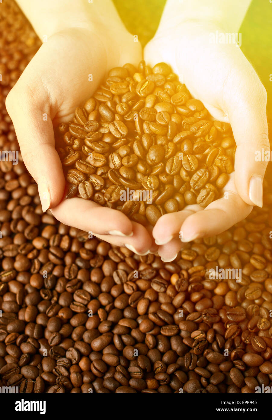 Fresh roasted coffee beans in hands Stock Photo - Alamy