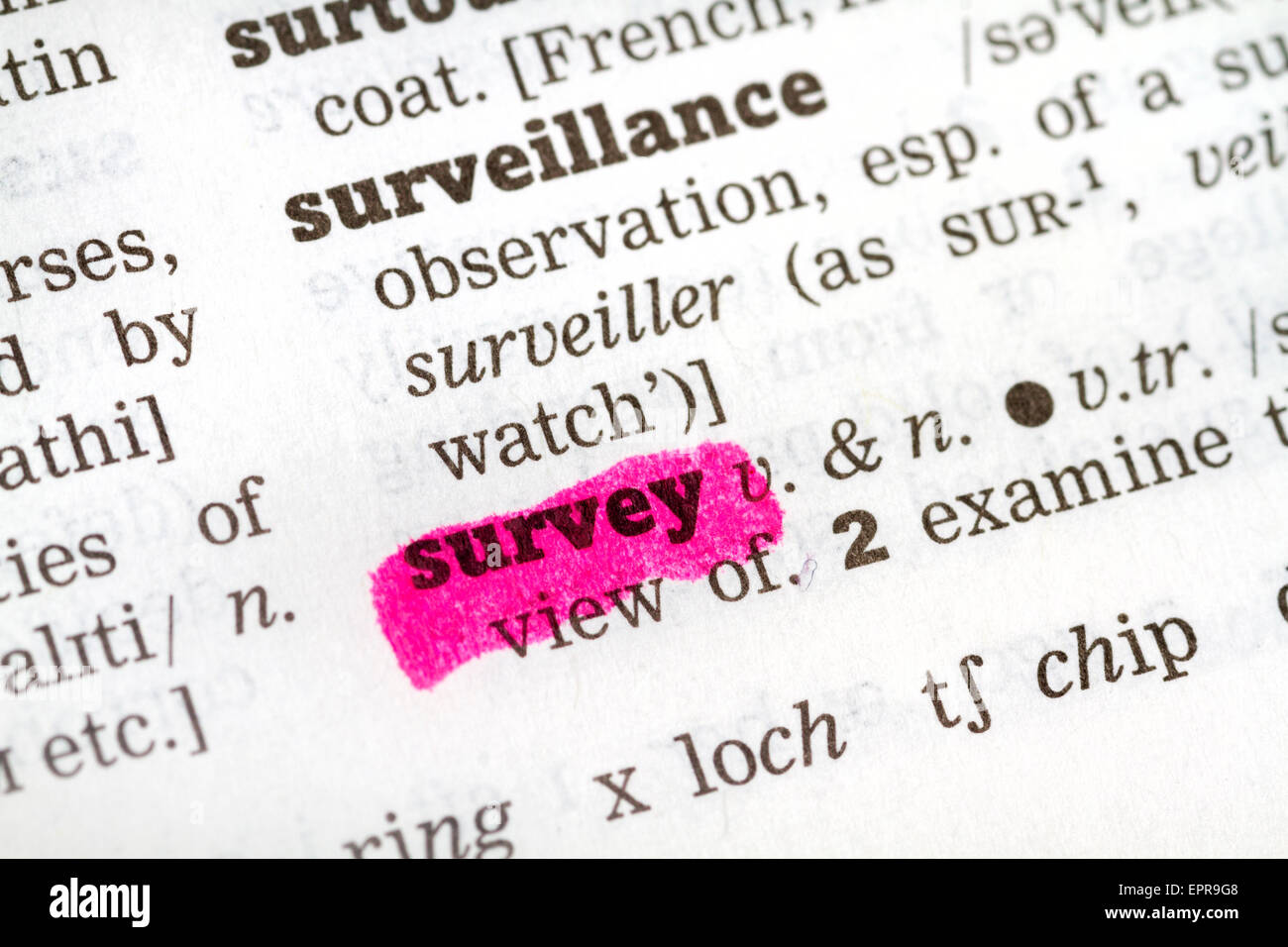 Dictionary definition of the word Survey Stock Photo - Alamy