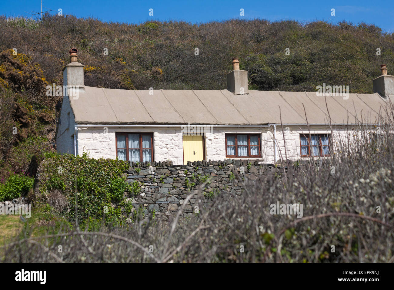 Quaint old mill cottages at Trefin or Trevine at Pembrokeshire Coast ...