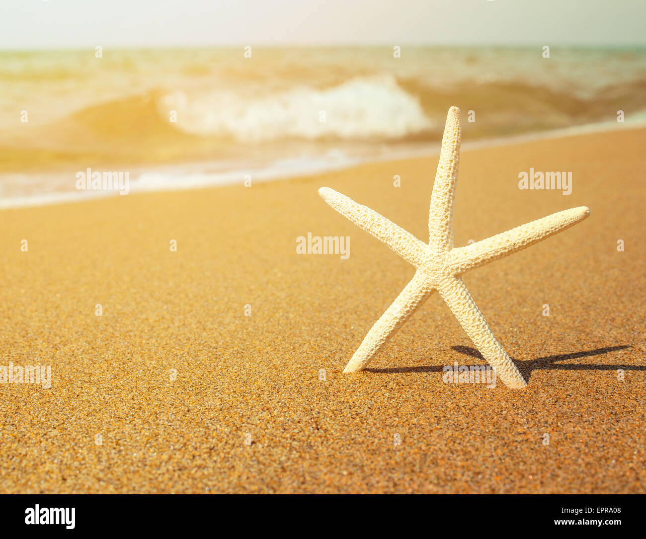 Vacation concept - Star fish on tropical sandy beach Stock Photo - Alamy