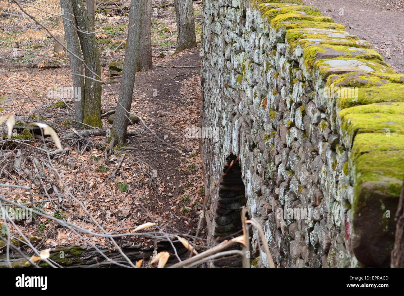 Moss covered bridge hi-res stock photography and images - Alamy