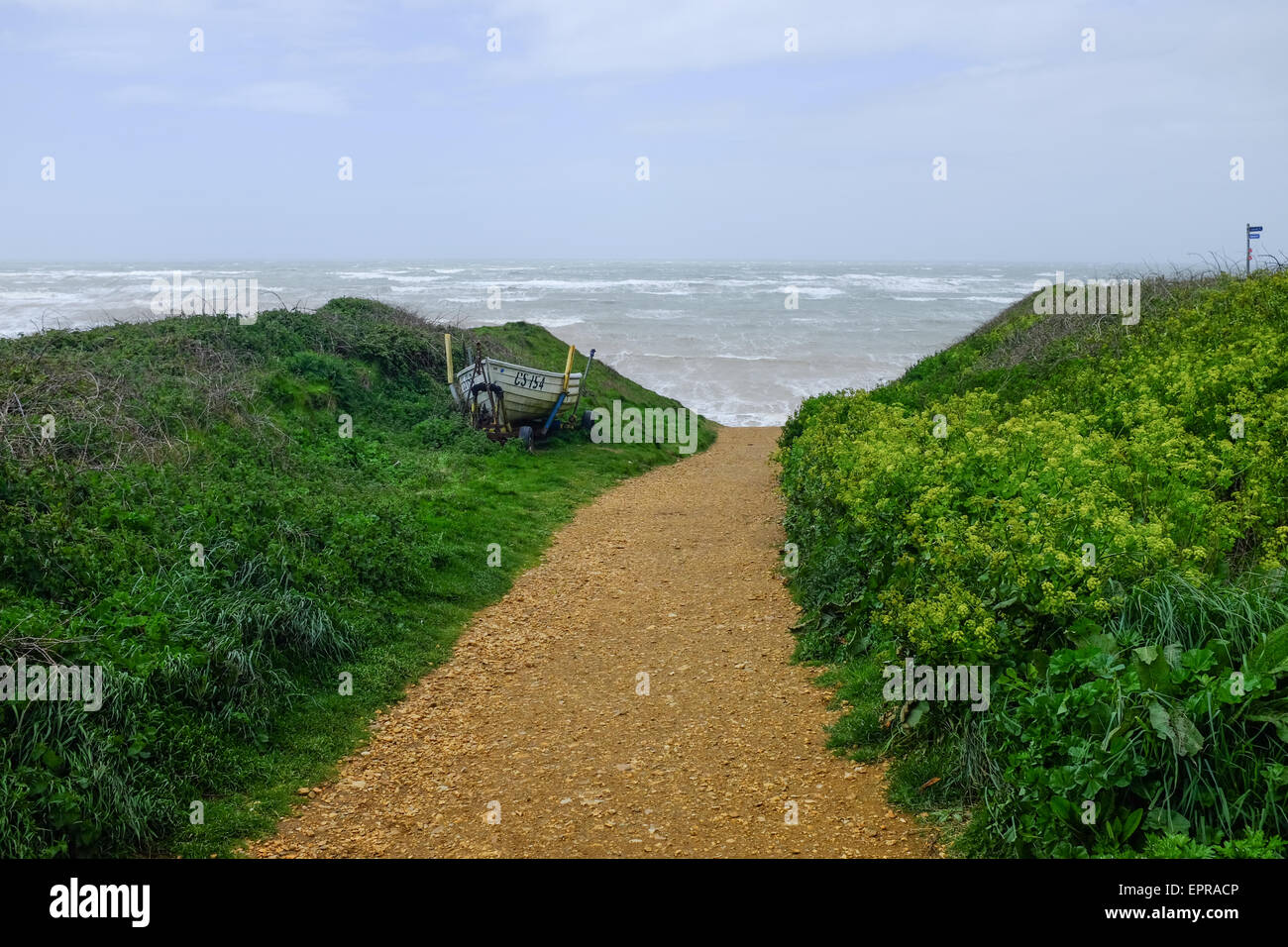 A path leading to the ocean Stock Photo - Alamy