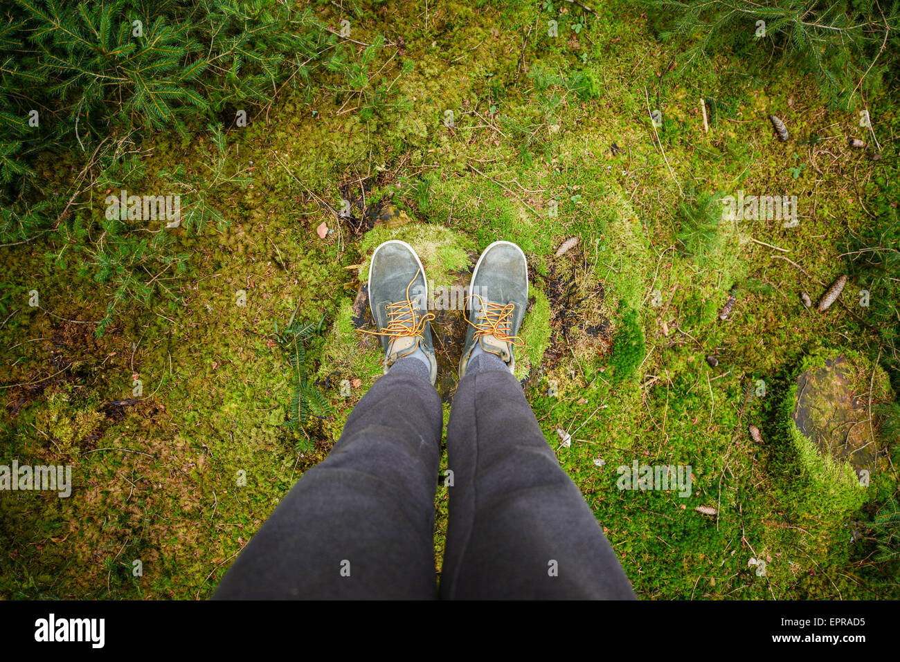 Walk in forest concept Stock Photo - Alamy