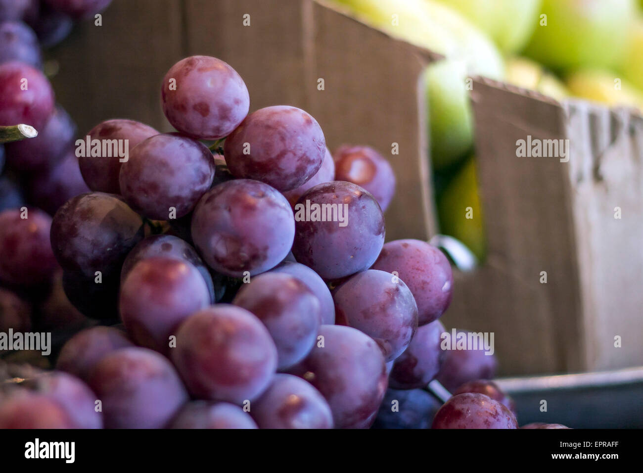 Grapes fermentation italy hi-res stock photography and images - Alamy