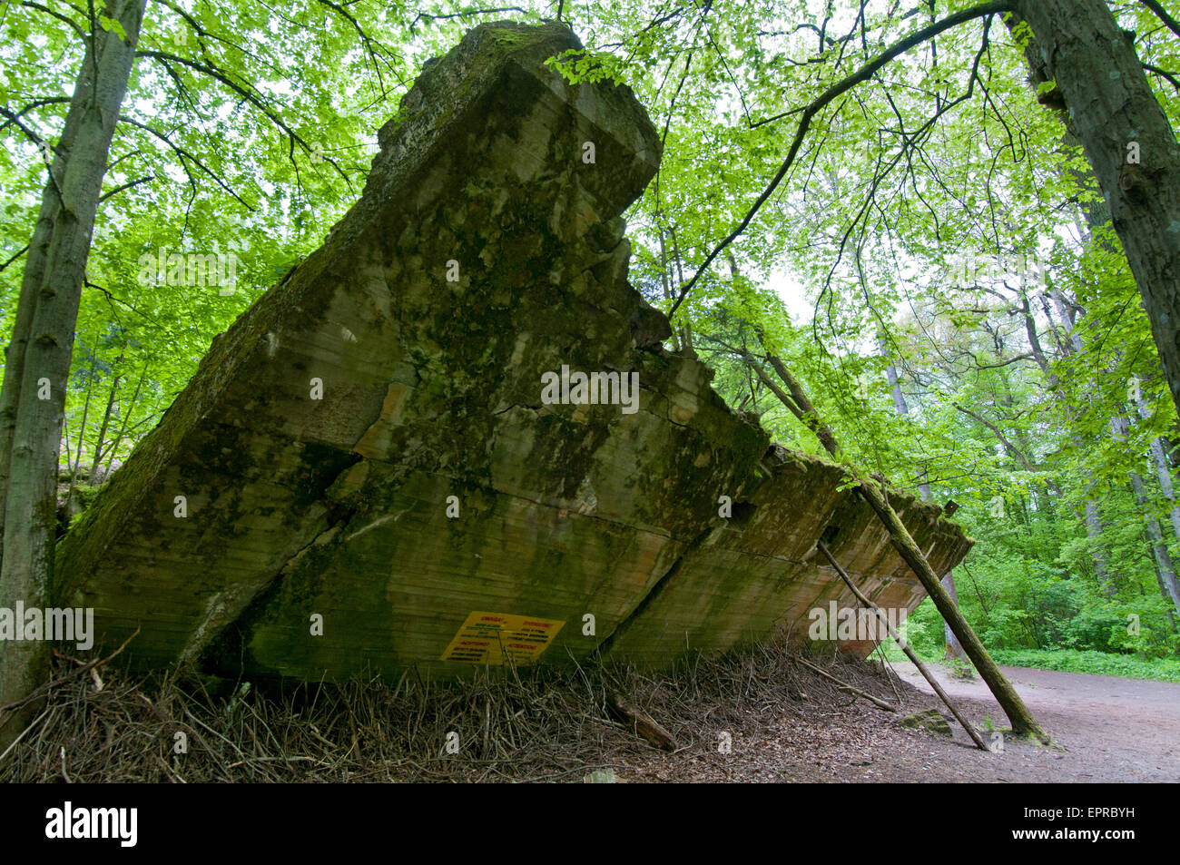 Remains of Martin Bormann bunker in Wolfsschanze, Hitler's Wolf's Lair ...