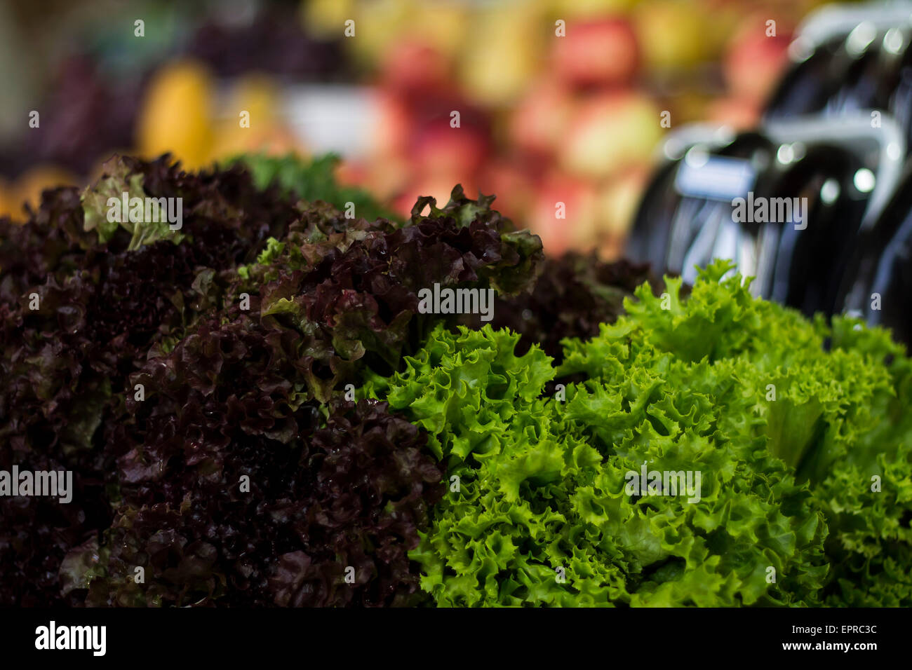 Red bibb lettuce hi-res stock photography and images - Alamy