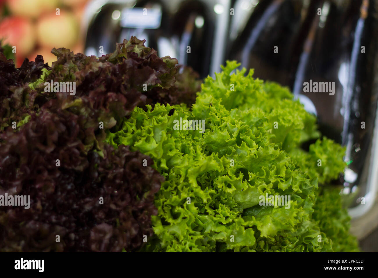 Red Bibb Lettuce High Resolution Stock Photography and Images - Alamy