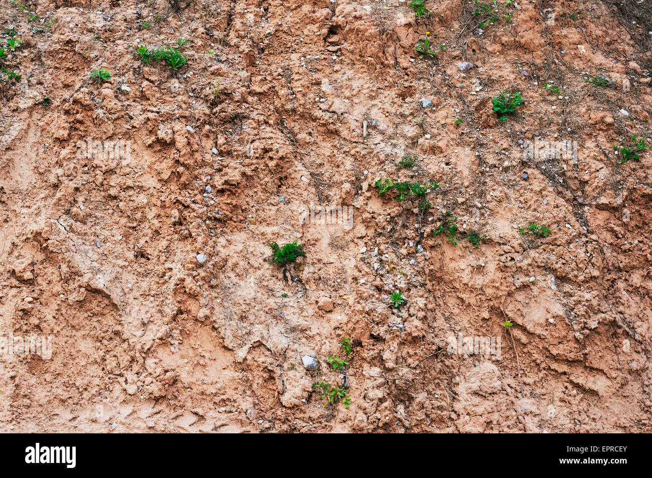The dying Earth planet- a soil erosion concept background Stock Photo ...