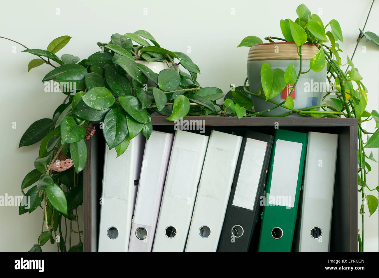 The wooden shelf with accounting papers and files closeup. On the shelf ...