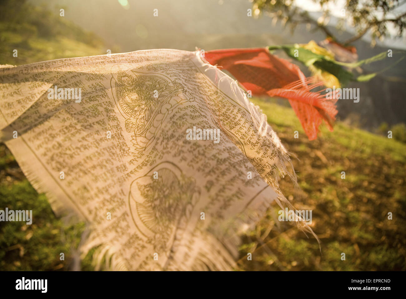Flags blowing hi-res stock photography and images - Alamy