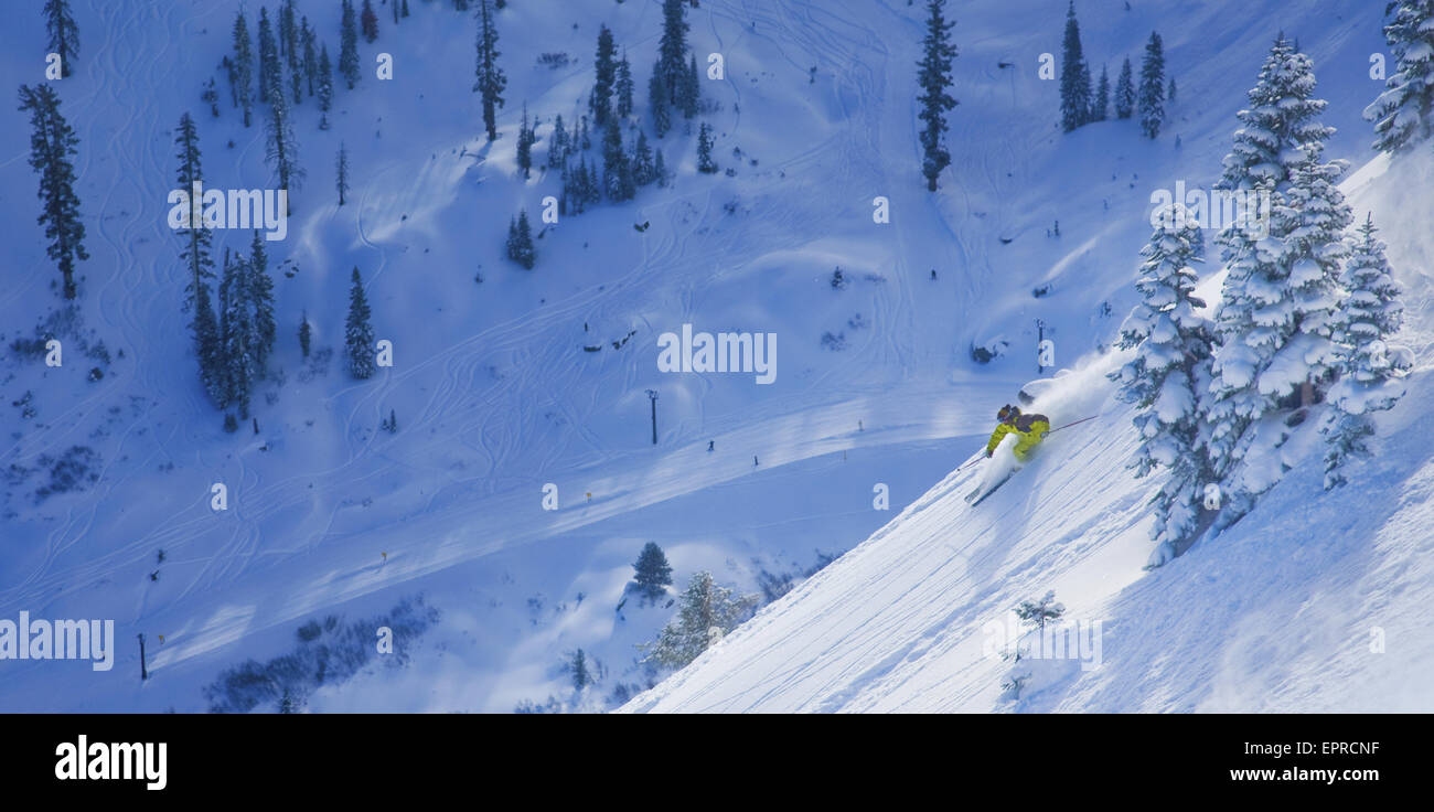 Male skier enjoying the fresh powder snow Stock Photo - Alamy