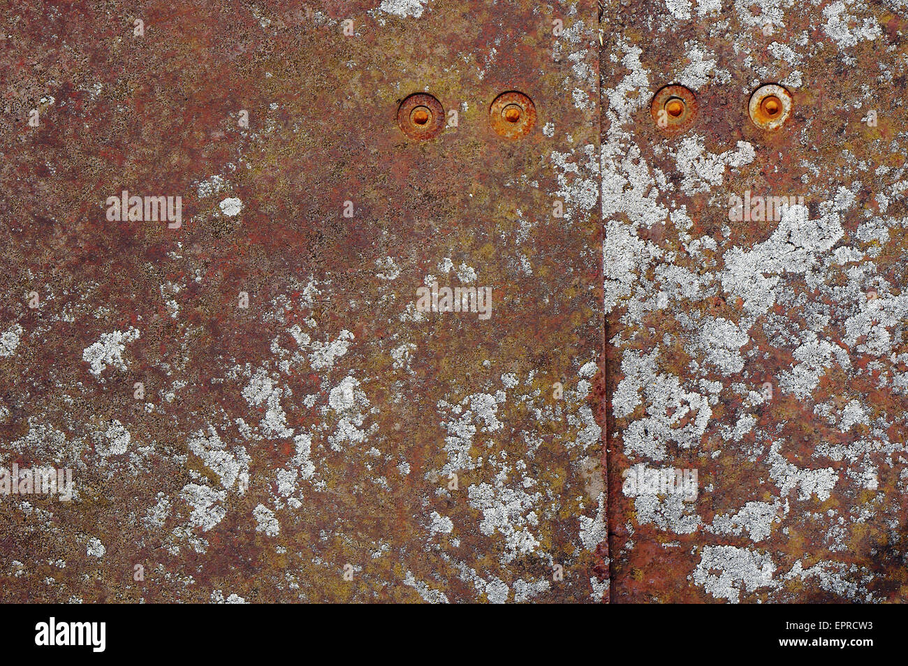 The white mold grows on rusty steel sheets of the warship . Textured ...