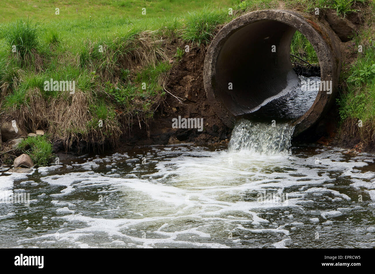 Pollution of the nature concept. Sewer drains flow to the river Stock ...