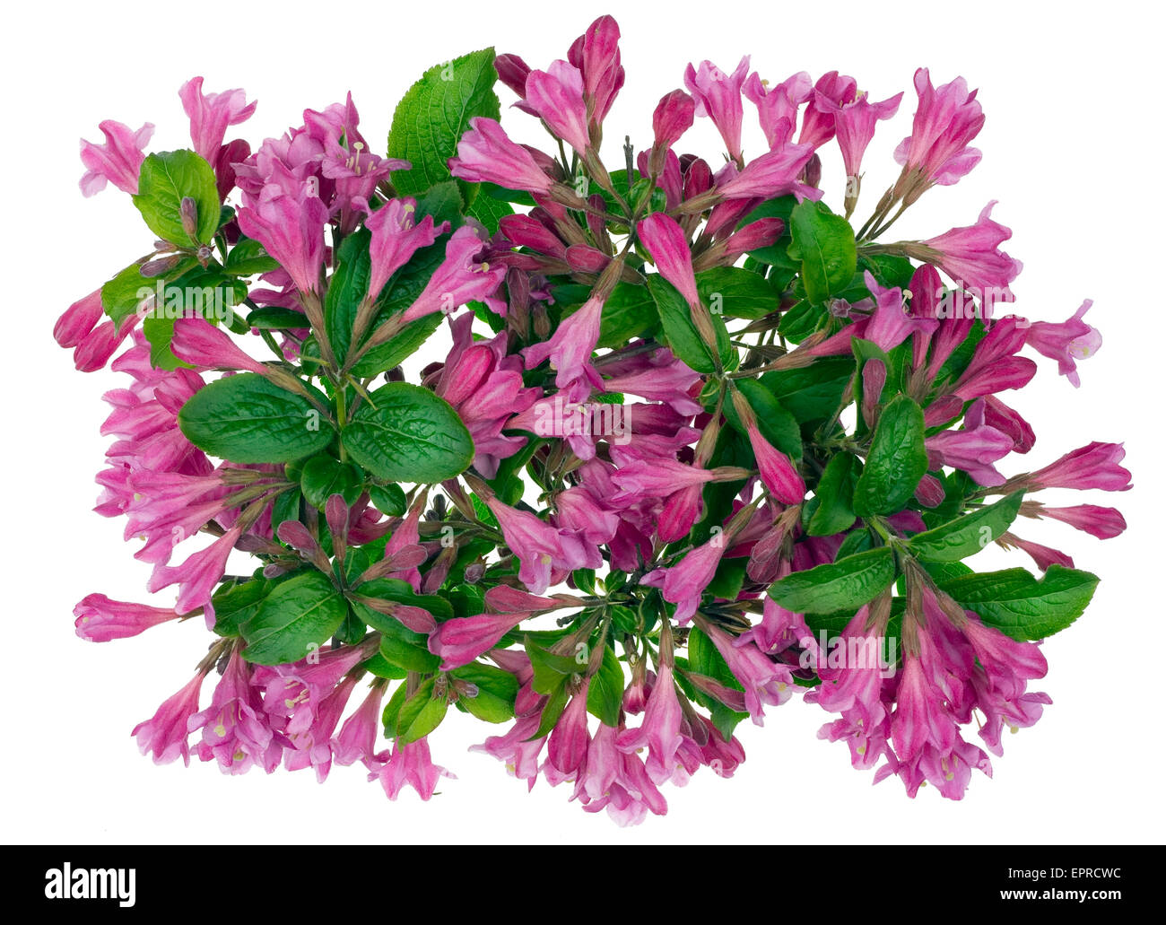 Flying bouquet hi-res stock photography and images - Alamy