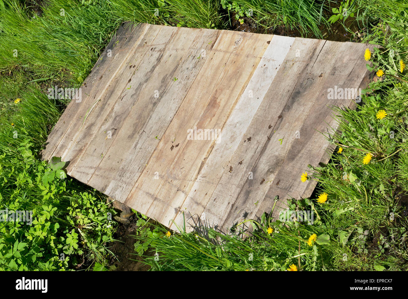 Grass frame wood wall hi-res stock photography and images - Alamy