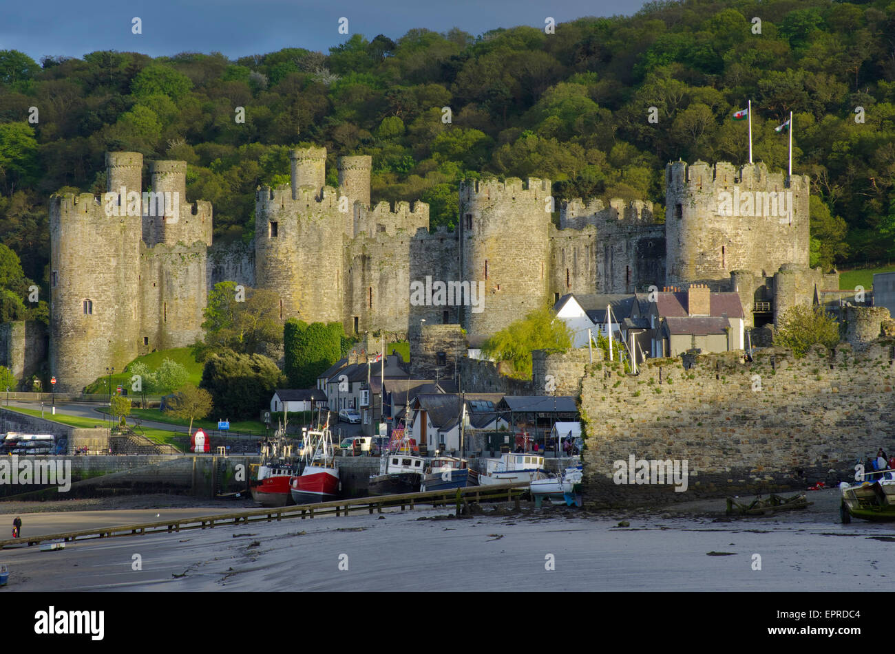 Conwy Castle And Harbour High Resolution Stock Photography and Images ...