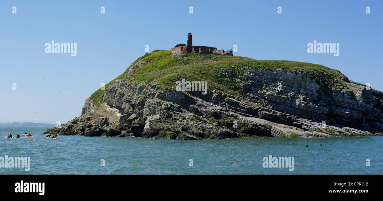 Puffin Island Anglesey Puffin High Resolution Stock Photography and ...